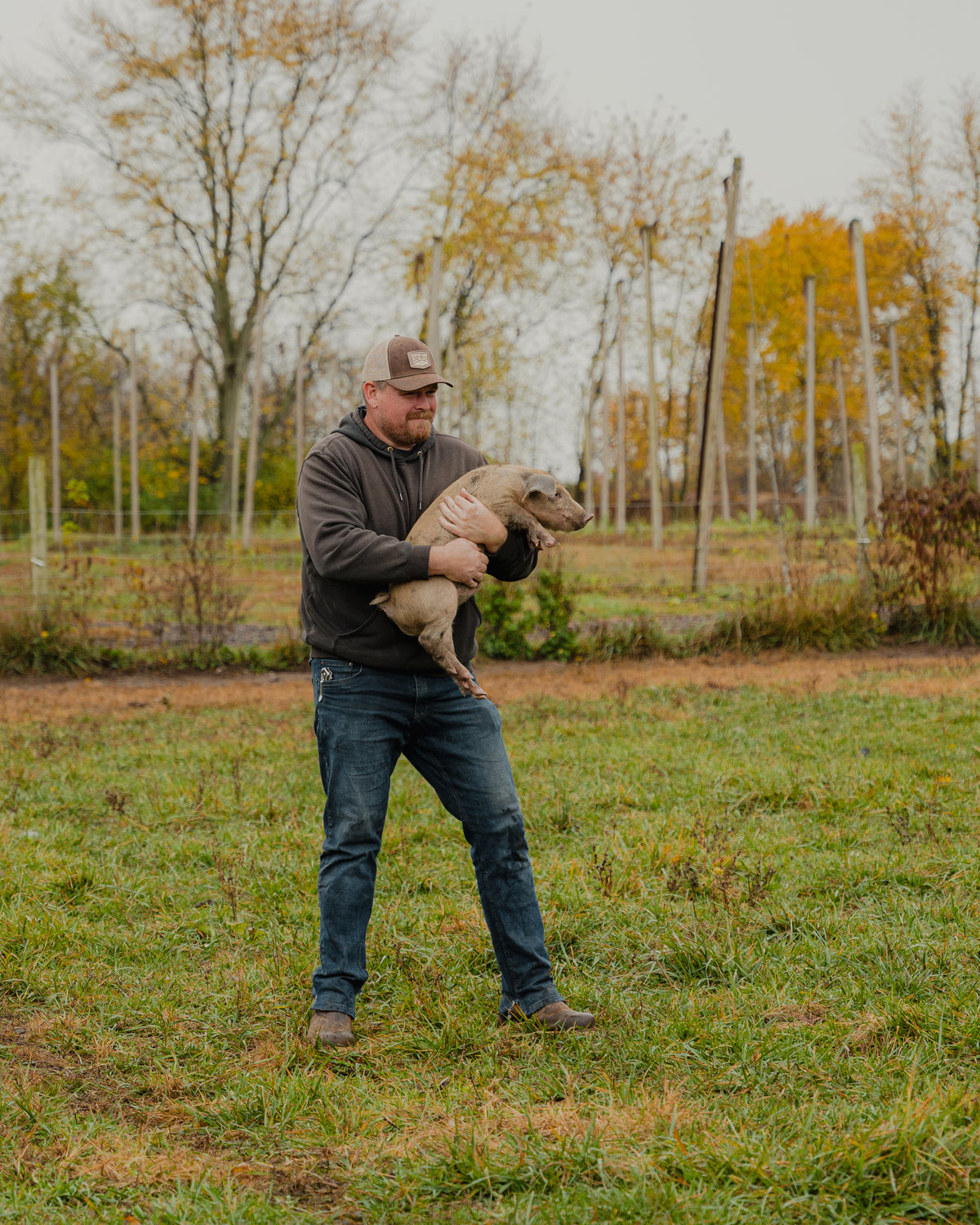 Home [howefarmsmeats.com]